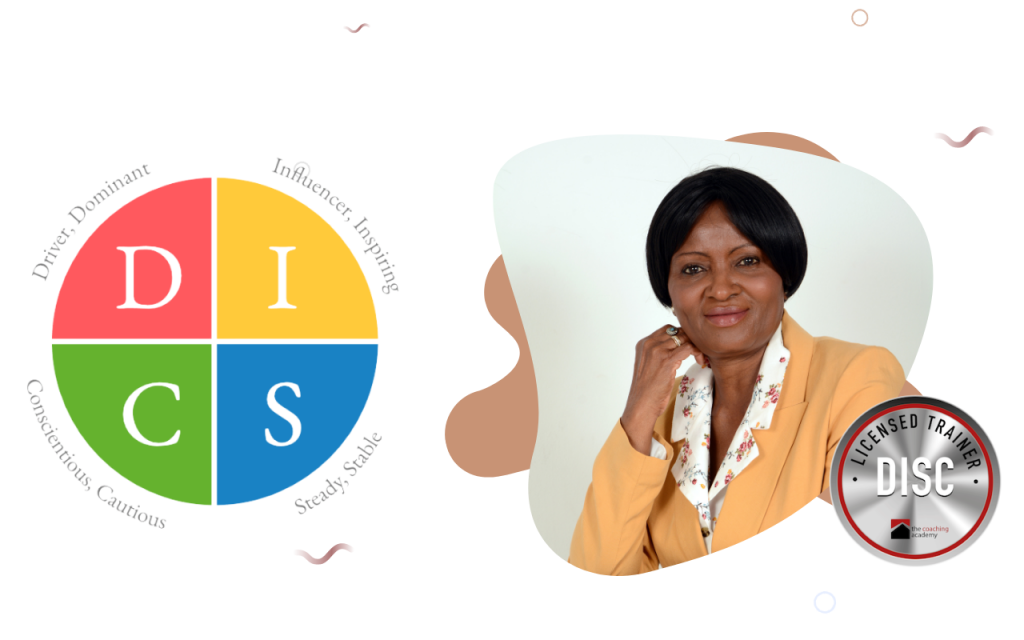 DISC PROFILING - Ducon LTD